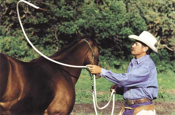 Old Bits: Focus on the Friendly Game-Game #1 of 7 - Articles - The ...