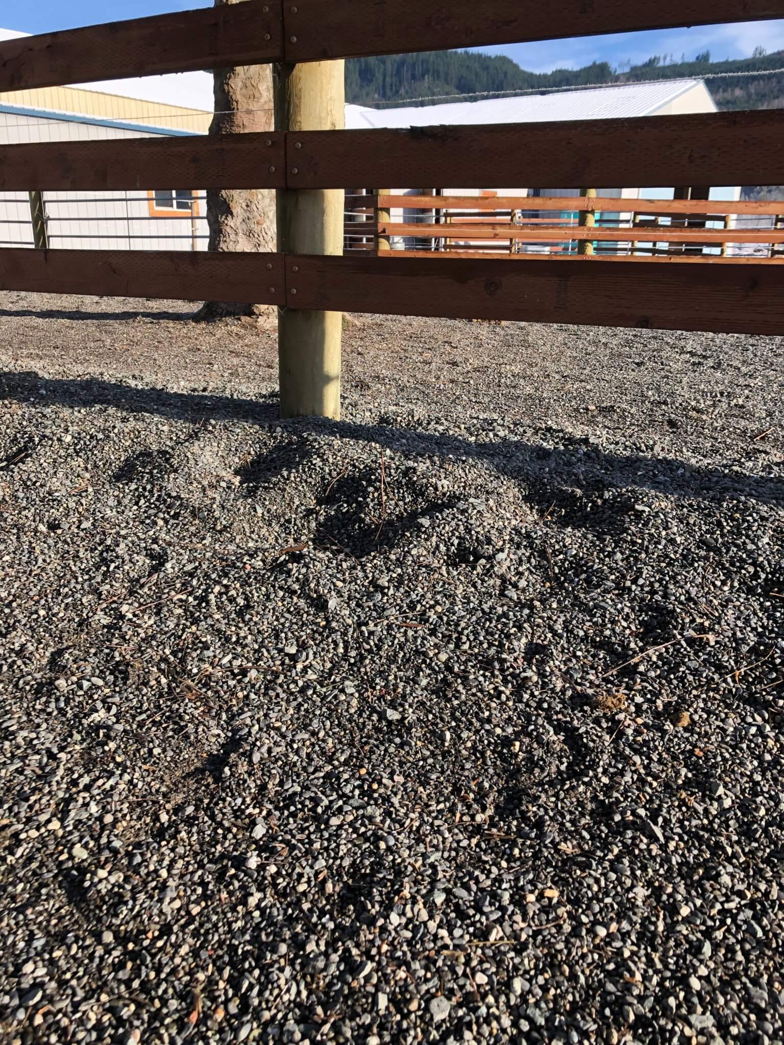 The Scoop on Gravel - Footing Choices for Mud-Free Paddocks - Articles ...