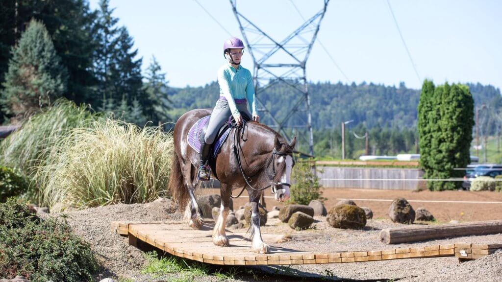Trail Obstacle Problem Solving - Master the Swinging Bridge - Horse ...