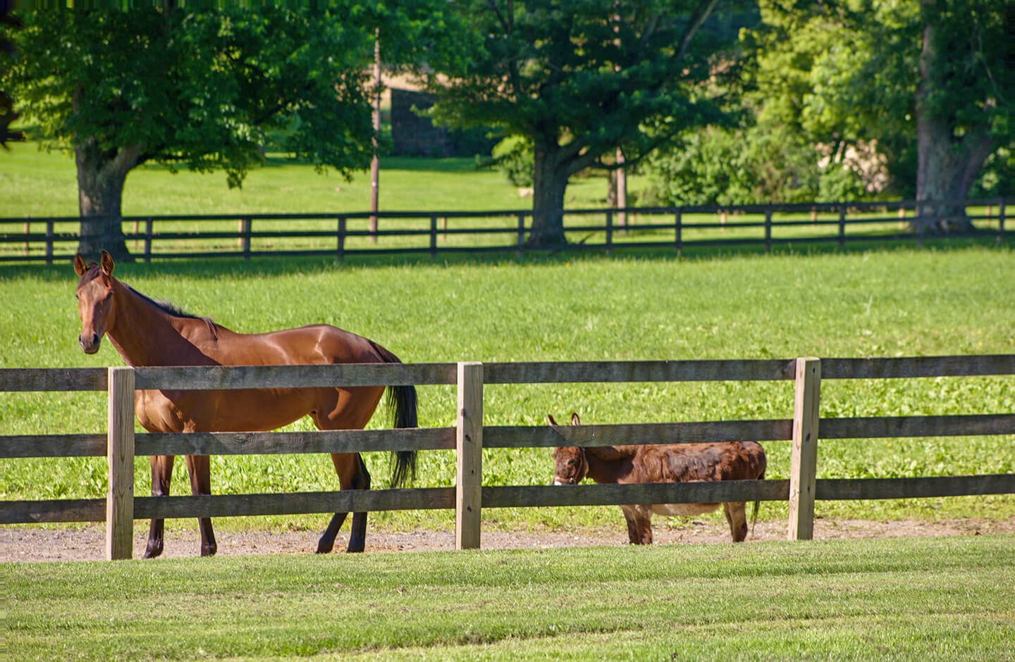 Horse Farm Essentials - Nine Must-Have Features for Pacific Northwest ...