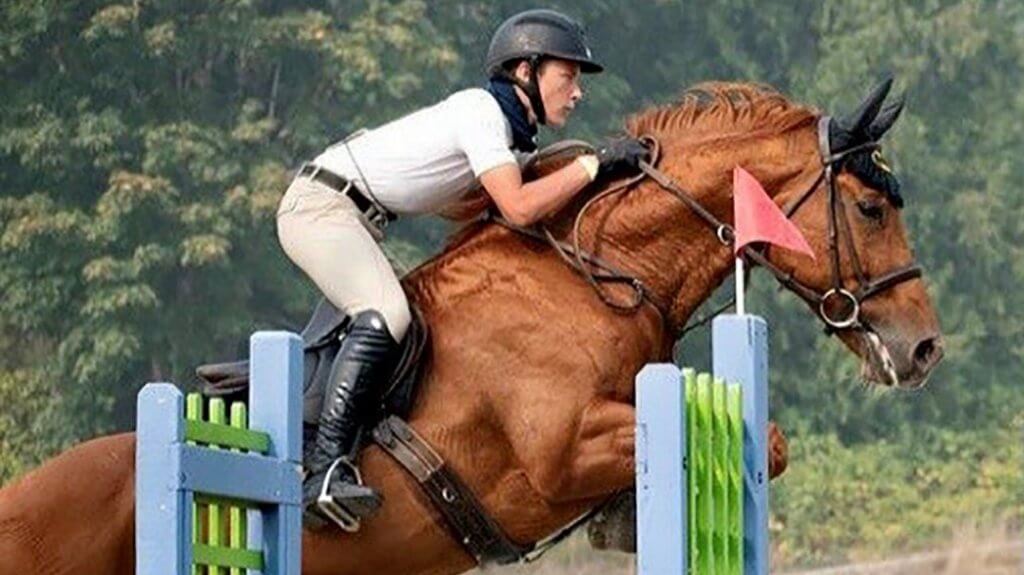 Rylan Davis - Heading for the Grand Prix - - The Northwest Horse Source