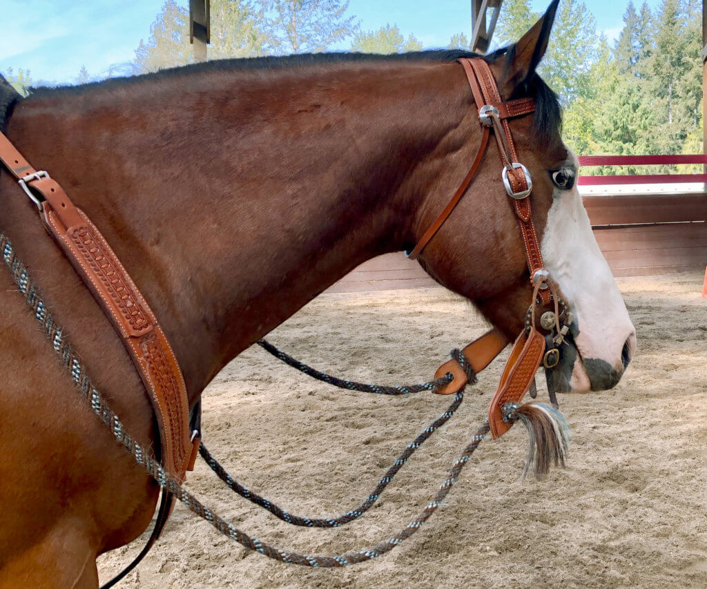 The Essential Snaffle - This Must-Have Tool Comes in Many Shapes, Sizes ...