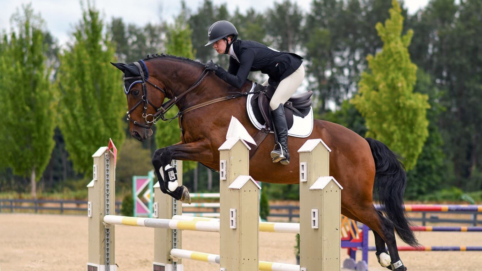 Cora Floyd - Jumping Star Aims for a Professional Career with Horses ...