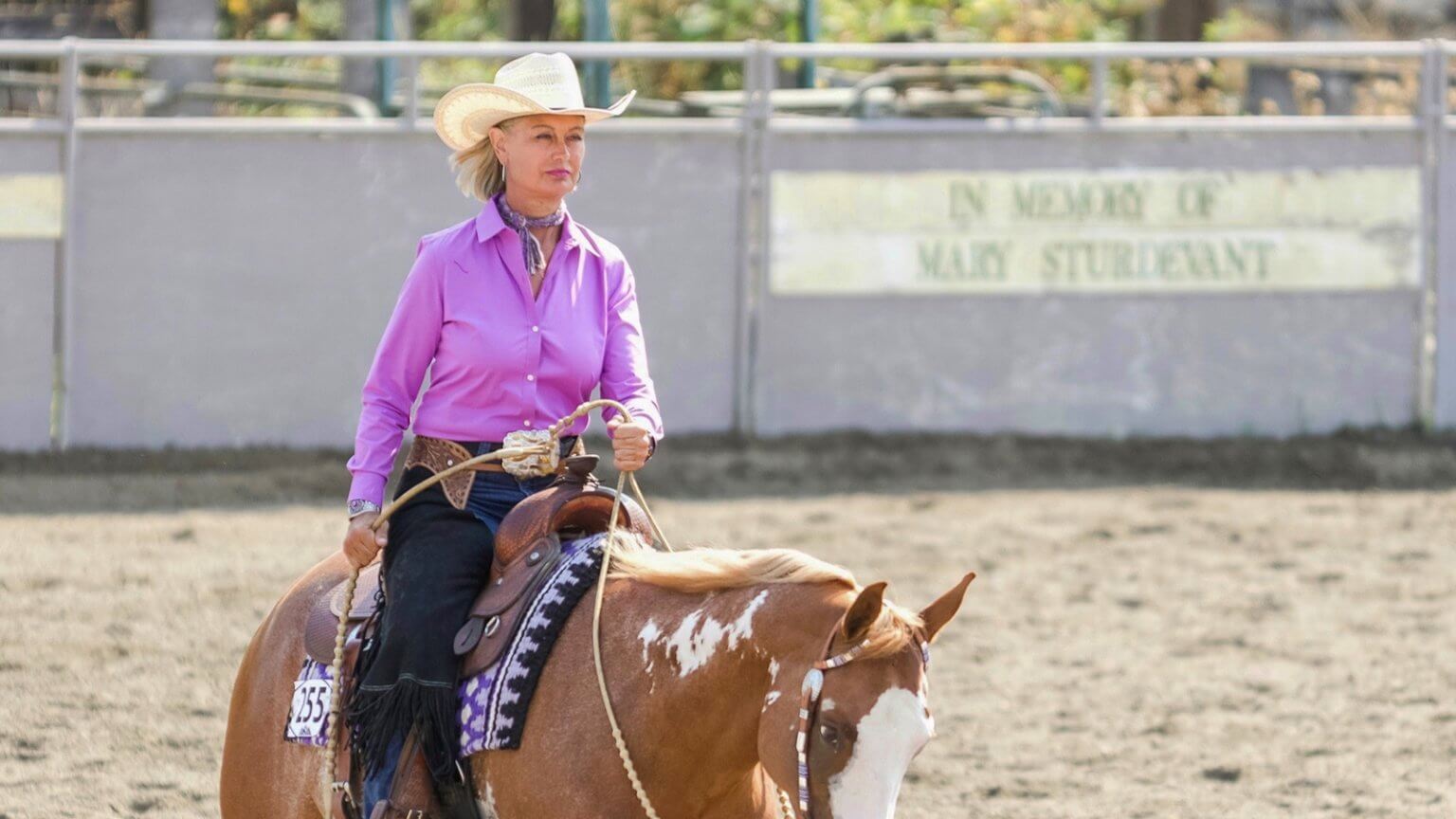 Sally Saur - Showing Students Their Superpowers - Horse Training - The ...