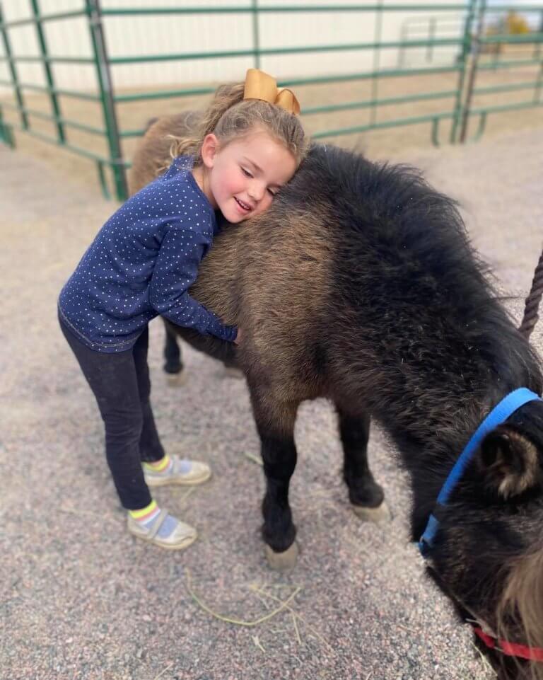 What to Know About Adopting a Rescue Horse - Horse Keeping - The ...