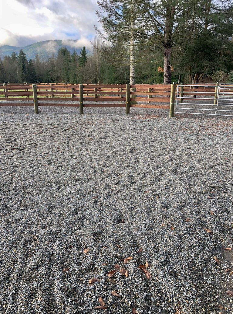 Feature: Surviving Winter - Horse Keeping - The Northwest Horse Source