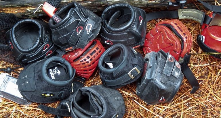 Robert Eversole, Author at The Northwest Horse Source