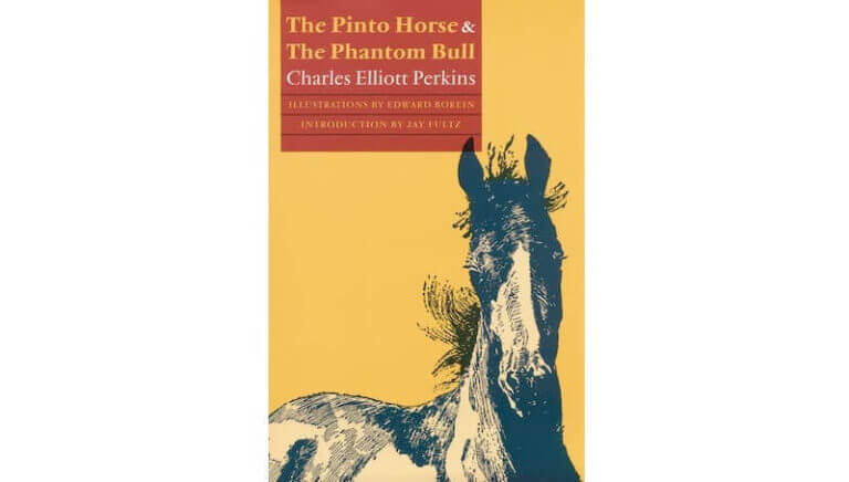 Media Barn: Book Review – The Pinto Horse & The Phantom Bull by Charles ...
