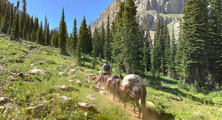 Robert Eversole, Author at The Northwest Horse Source