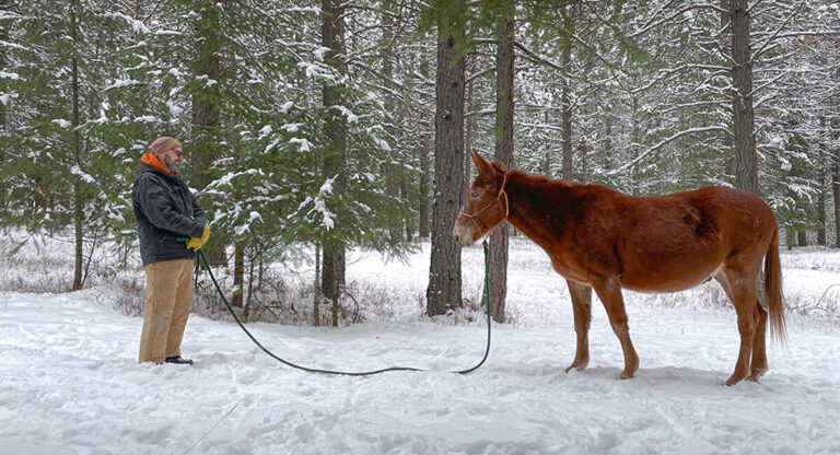 Robert Eversole, Author at The Northwest Horse Source