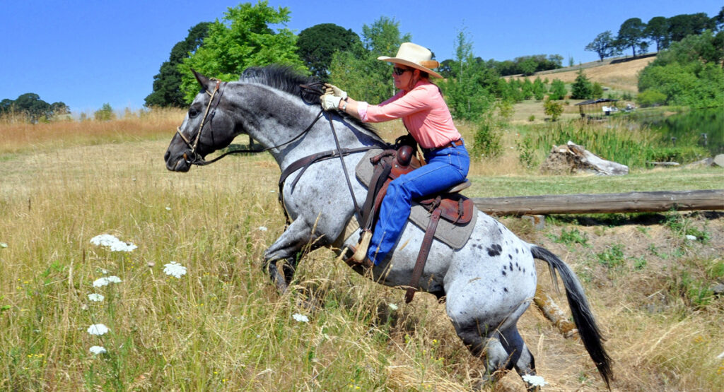 The Northwest Horse Source, for Horse Enthusiasts of all Breeds and ...