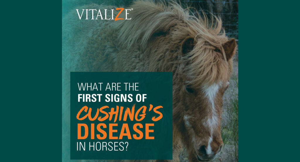 What are the First Signs of Cushing's Disease in Horses? - Products & Services - The Northwest ...