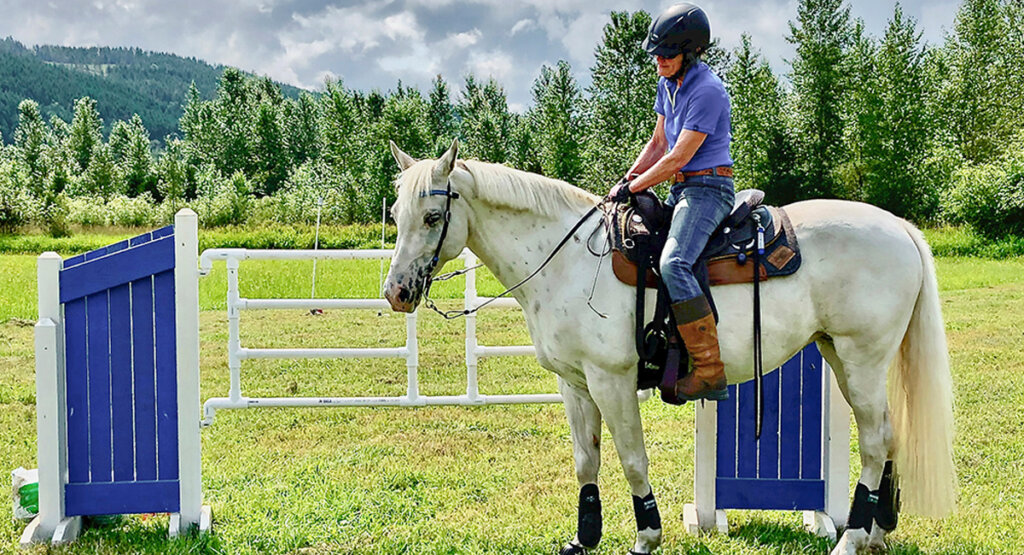 Give Your Horse a Job - Horse Keeping - The Northwest Horse Source