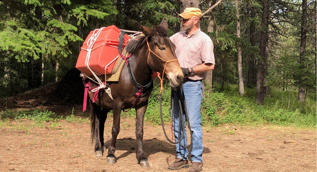 Robert Eversole, Author at The Northwest Horse Source